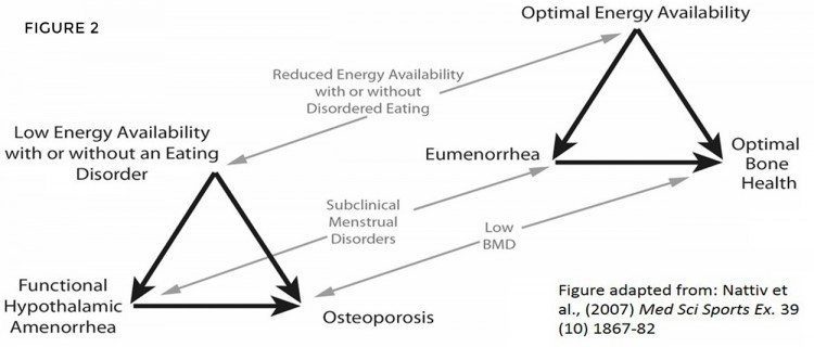 Relative energy deficiency in sport - AW