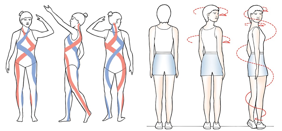Alexander-Technique-style-lying-down-spiral-diagrams - AW