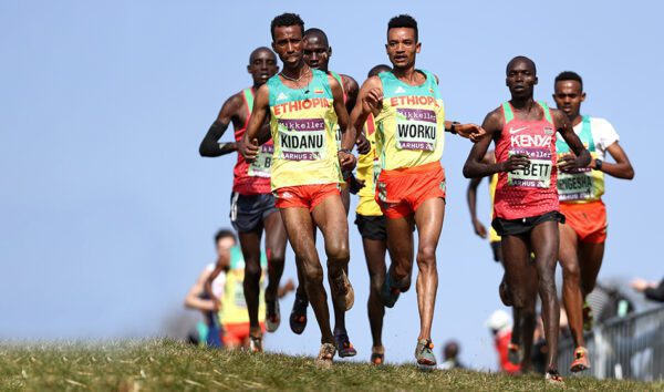 Ethiopia's all-round runners - AW